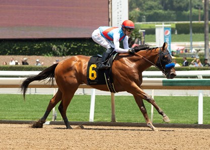 Muth - Horse Profile - BloodHorse