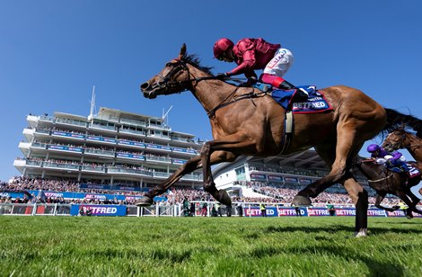 Soul Sister, Jannah Rose Possible for Prix de Diane - BloodHorse