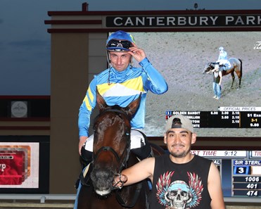 Golden Bandit - Horse Profile - BloodHorse