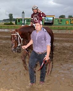 Disarm - Horse Profile - BloodHorse