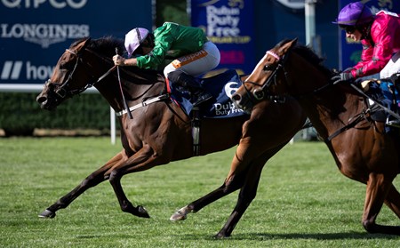 Adaay In Asia (GB) - Horse Profile - BloodHorse