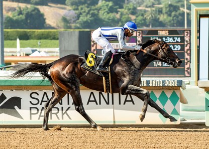 Geaux Rocket Ride - Horse Profile - BloodHorse