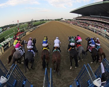 Belmont Stakes 155 - Slideshow - BloodHorse