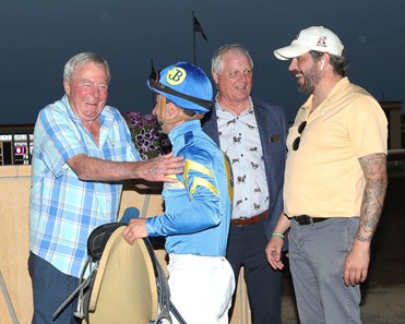 Golden Bandit - Horse Profile - BloodHorse