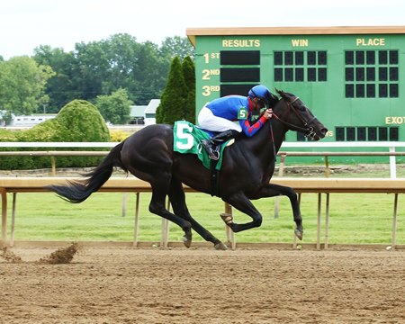 Minnesota Ready Tops Lothenbach HORA Dispersal - BloodHorse