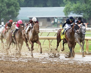 Disarm - Horse Profile - BloodHorse