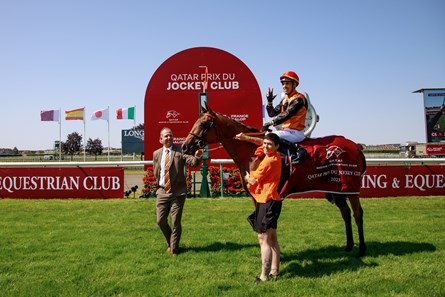Ace Impact (IRE) - Horse Profile - BloodHorse