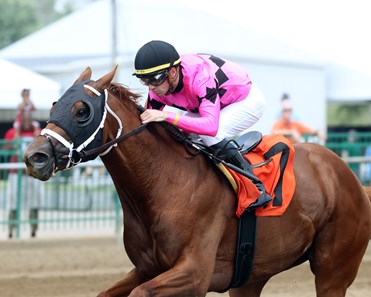 Elite Forces - Horse Profile - BloodHorse