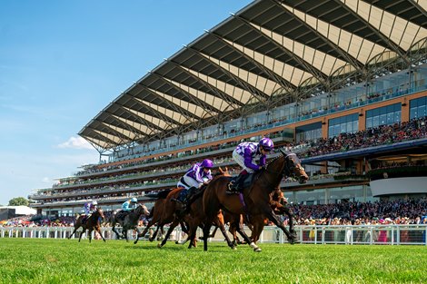 Shaquille Aims to Solidify Star Status in July Cup - BloodHorse