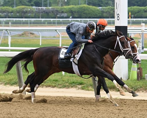 Forte, Tapit Trice Post Final Breezes Before Belmont - BloodHorse