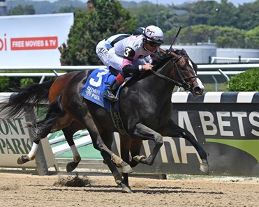 Status Seeker - Horse Profile - BloodHorse