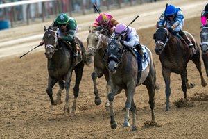 Triple Crown - Kentucky Derby, Preakness, and Belmont Stakes - BloodHorse
