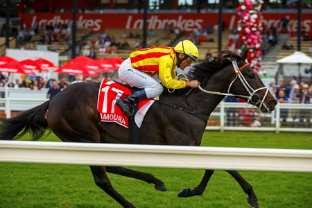 Amokura Rises to the Occasion in Queensland Oaks - BloodHorse