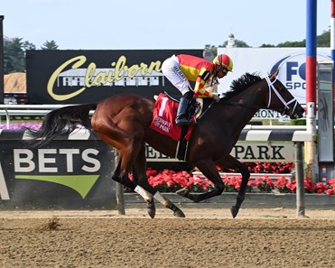 Angelique - Horse Profile - BloodHorse