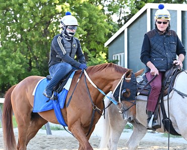 Red Route One - Horse Profile - BloodHorse