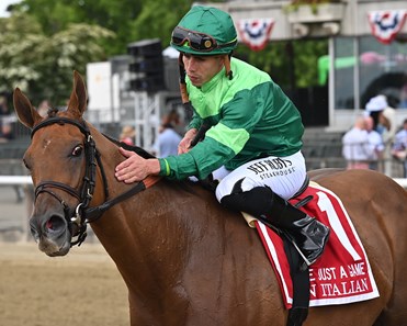 In Italian (GB) - Horse Profile - BloodHorse