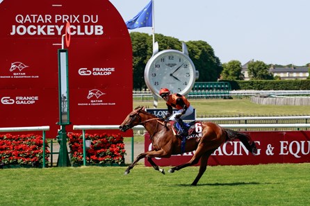 Ace Impact (IRE) - Horse Profile - BloodHorse