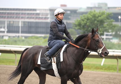 Geaux Rocket Ride - Horse Profile - BloodHorse