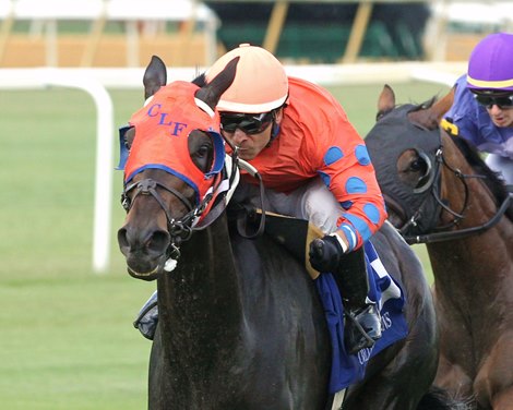 Talking Stakes Wins With In Our Time Writer Josh Pons - Video ...