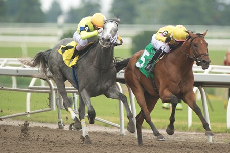 Turf King Looks to Reign in Canadian Turf - TrueNicks.com