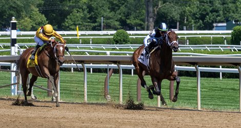 Nest Debuts in NTRA Top Thoroughbred Poll in Third - BloodHorse