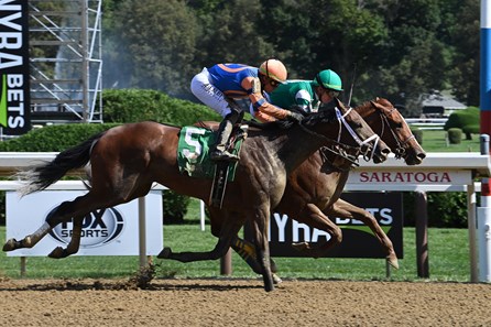 Alys Beach - Horse Profile - BloodHorse