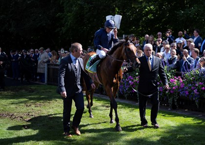 City of Troy - Horse Profile - BloodHorse