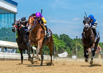 Super Accelerate - Horse Profile - BloodHorse