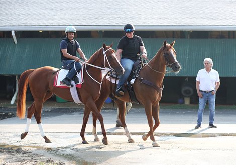 Meet the Field of 3-Year-Olds for 2023 Haskell Stakes - BloodHorse
