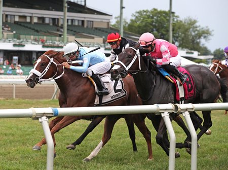 Beauty of the Sea First Stakes Winner for Bucchero - BloodHorse