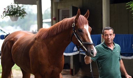 Mage - Horse Profile - BloodHorse