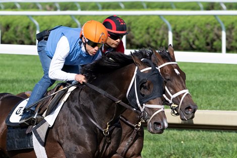 Pletcher Will Add Blinkers to Forte in Jim Dandy - BloodHorse