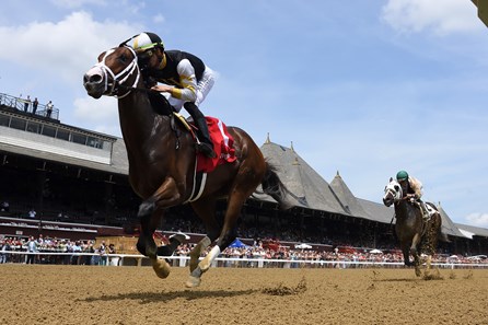 Pirate - Horse Profile - BloodHorse