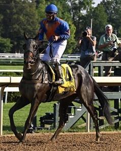 Yo Yo Candy - Horse Profile - BloodHorse