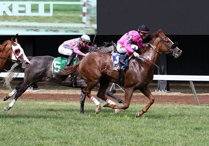 Alogon - Horse Profile - BloodHorse