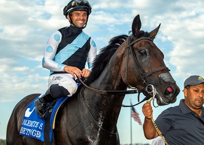 Anisette (GB) - Horse Profile - BloodHorse