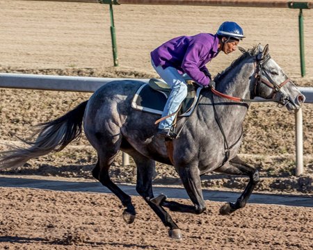 Jockey Taylor Returns to Remington Park After 30 Years - TrueNicks.com