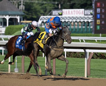 Yo Yo Candy - Horse Profile - BloodHorse