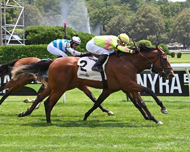 Hard to Justify - Horse Profile - BloodHorse