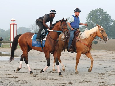 Extra Anejo - Horse Profile - BloodHorse