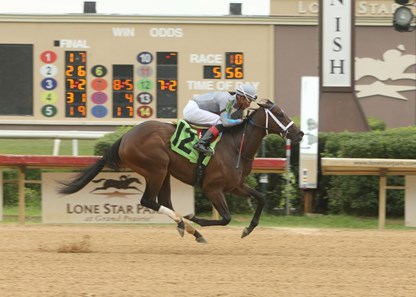 Divining Humor - Horse Profile - BloodHorse