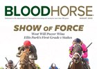 Show of Force - Horse Profile - BloodHorse