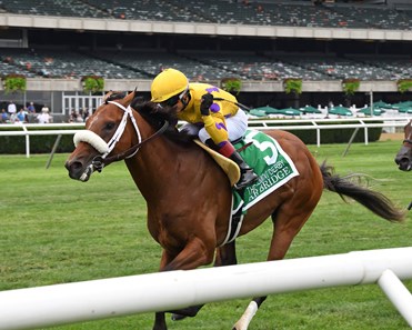 Far Bridge - Horse Profile - BloodHorse