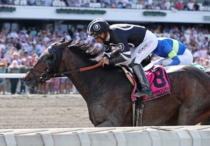 Shotgun Hottie - Horse Profile - BloodHorse