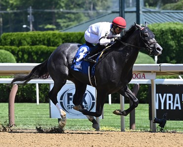Crazy Mason - Horse Profile - BloodHorse