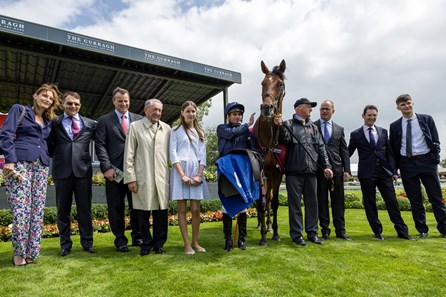 City of Troy - Horse Profile - BloodHorse