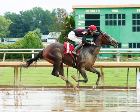 Ham Sandwich First Winner for Sire Heart to Heart - BloodHorse