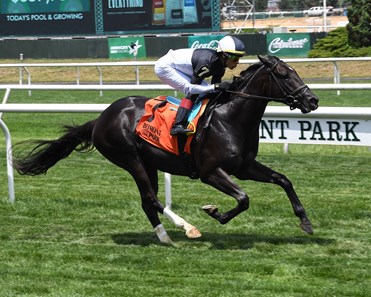 El Grande O - Horse Profile - BloodHorse