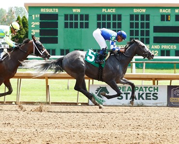 Steel Racer - Horse Profile - BloodHorse