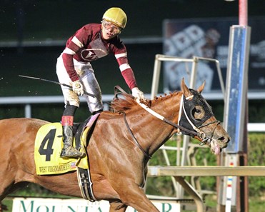 Red Route One - Horse Profile - BloodHorse